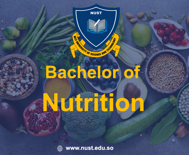 NILE UNIVERSITY